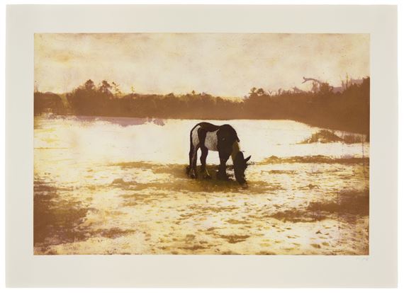 Peter Doig | Figure - Trees (1997 - 1998) | MutualArt