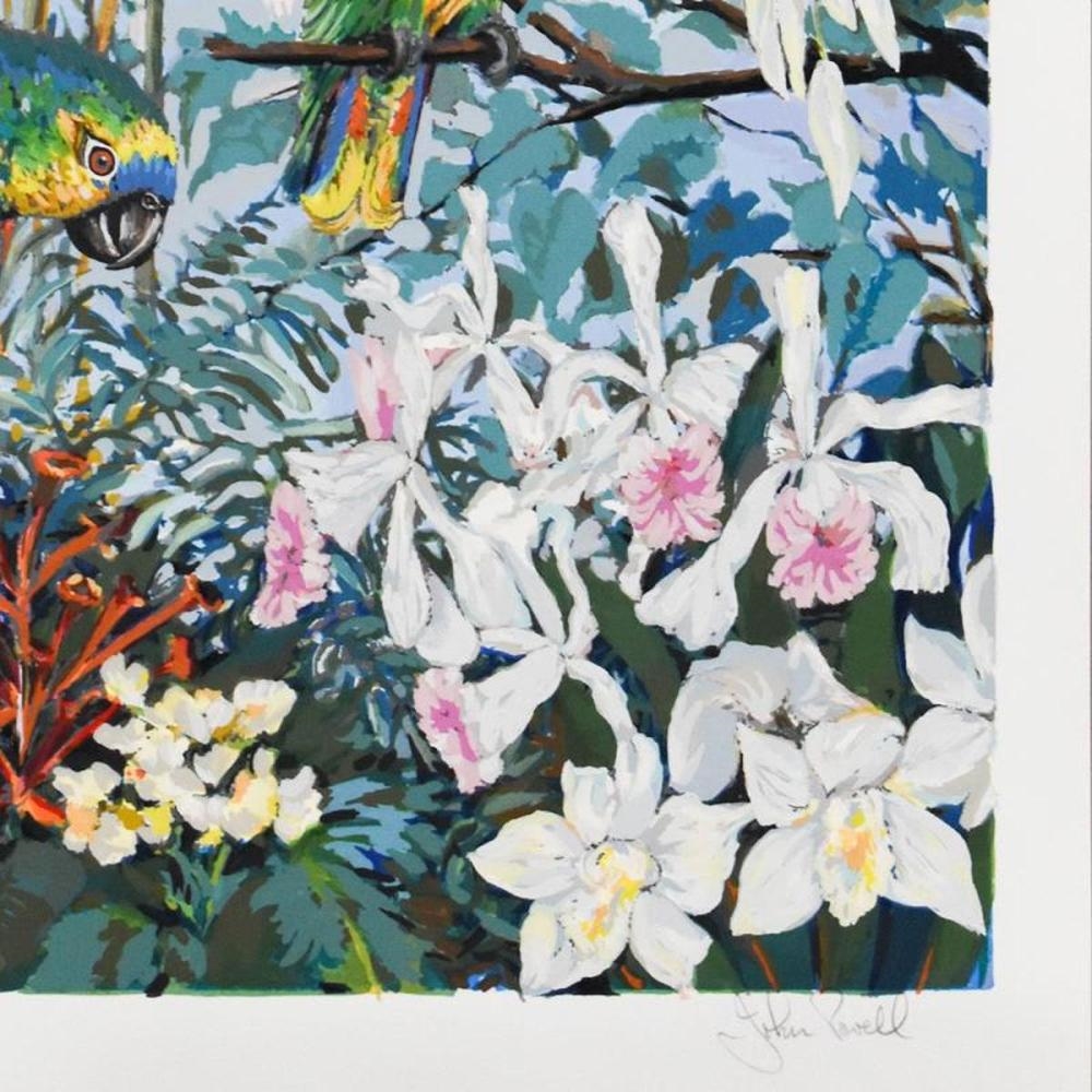 John Powell | Parrots & Hibiscus Limited Edition Serigraph | MutualArt