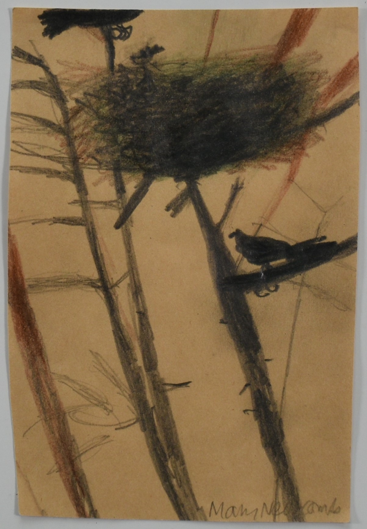 Mary Newcomb | Tremendous Moth Night (1962) | MutualArt