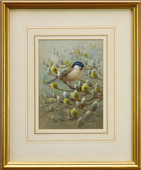 Raymond C. Watson | The Marsh Tit | MutualArt