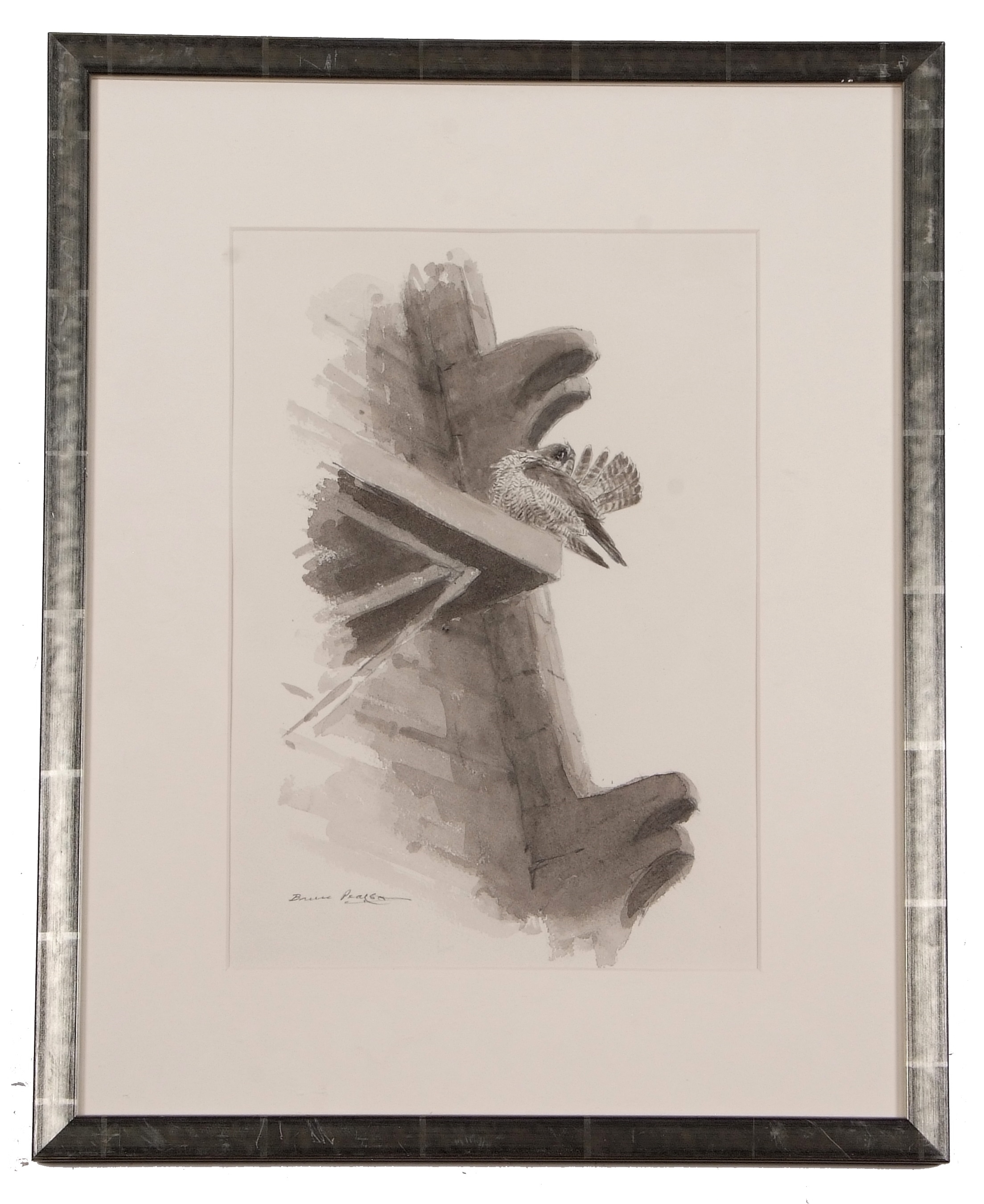 Bruce Pearson | Perched Peregrine Falcon preens the tail feathers ...