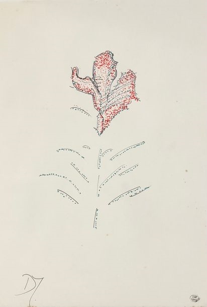 Dora Maar | Flower (1998) | MutualArt