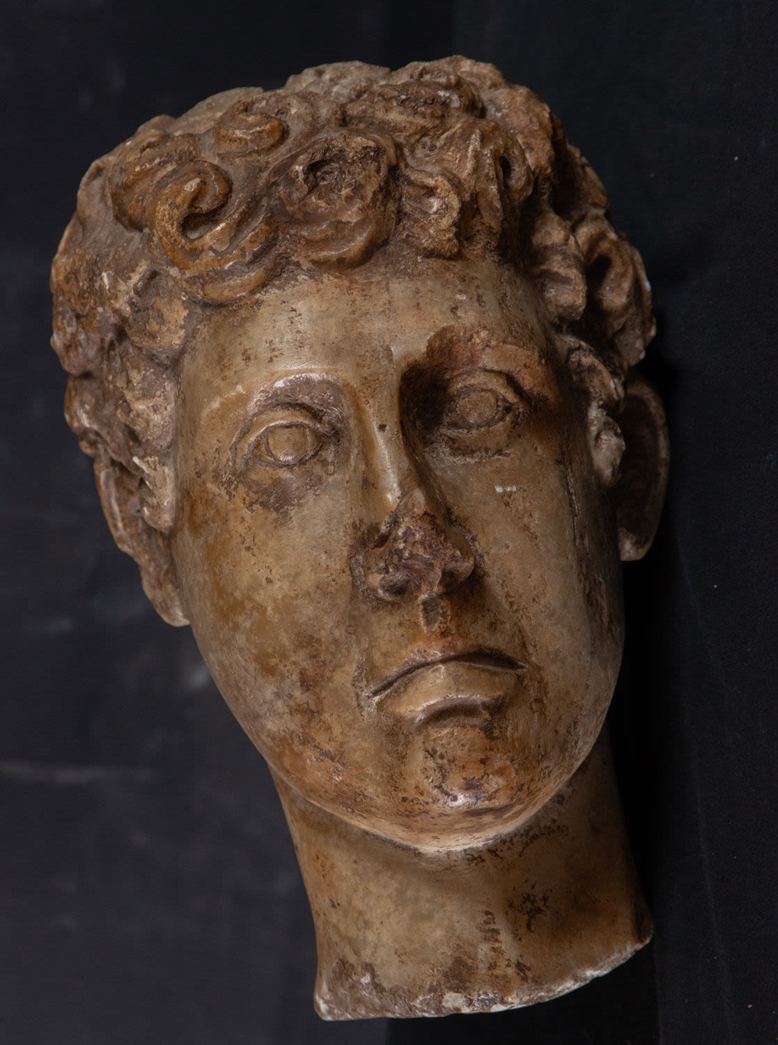 Italian School, 16th Century | Cabeza de Patricio en mármol | MutualArt