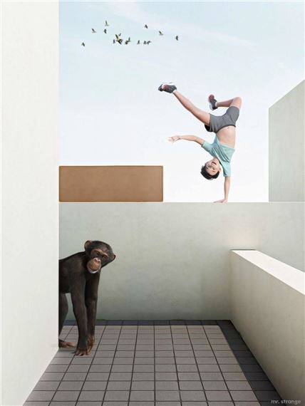 Mr. Strange | Qui Fait le Singe 2023 (2023) | MutualArt