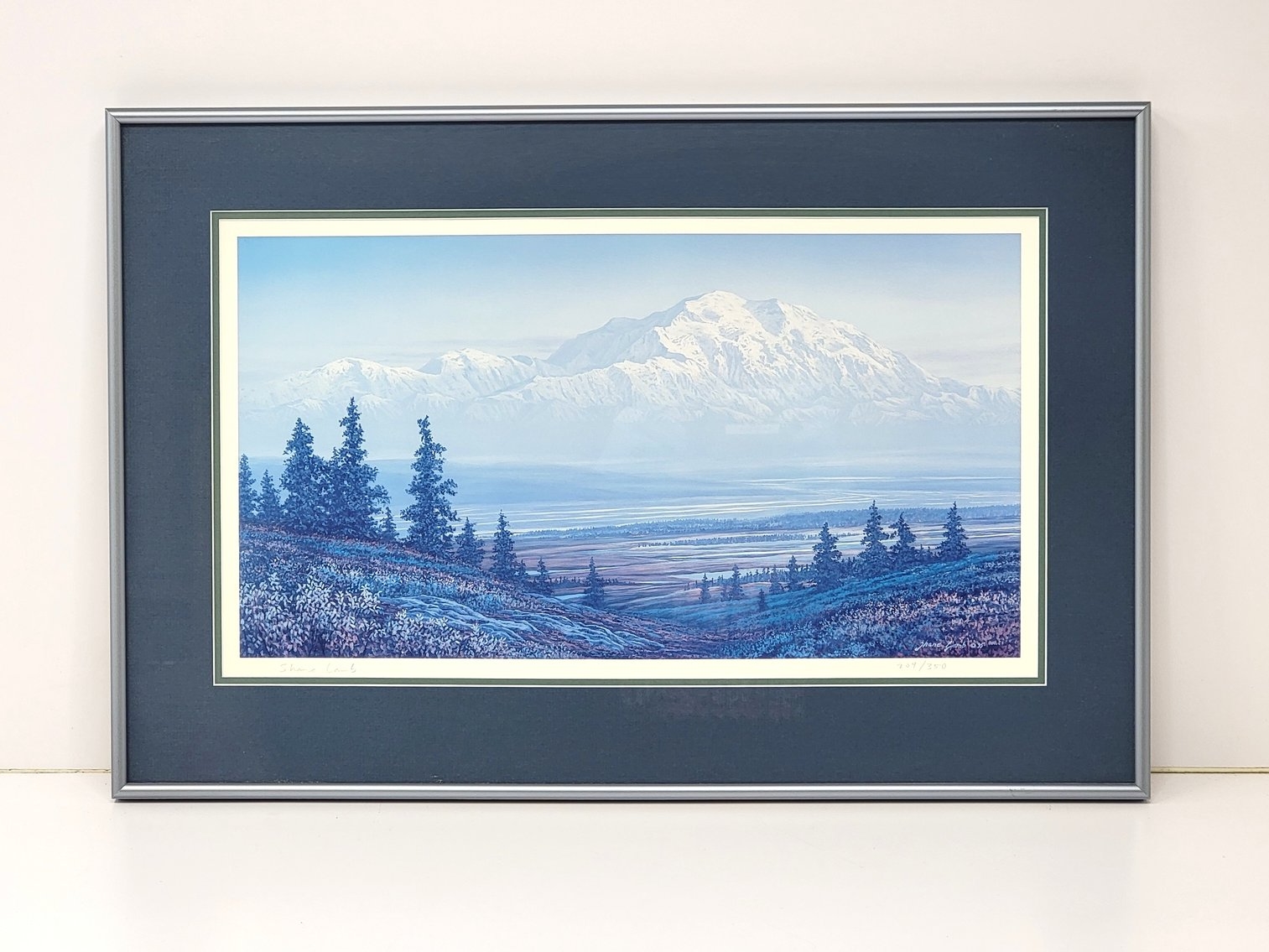 Shane Lamb | Northern Illumination | MutualArt