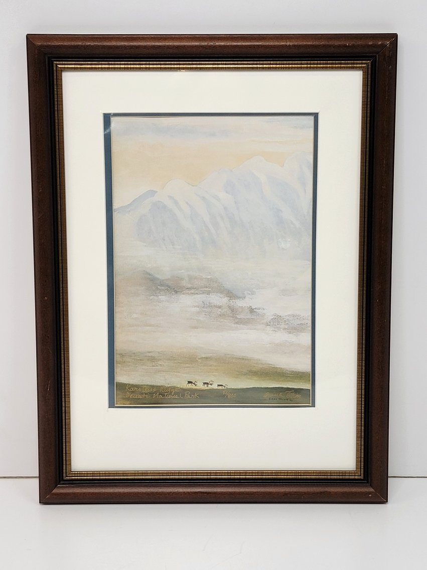 Diana Tillion | Karstens Ridge-Denali National Park | MutualArt
