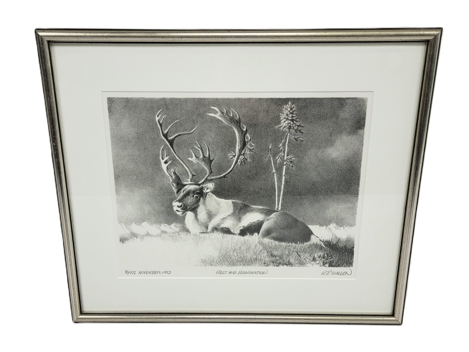 R.T. Wallen | Rest and Rumination | MutualArt