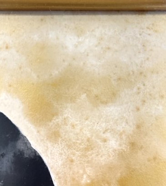 Teii Nakamura | portrait of lady | MutualArt