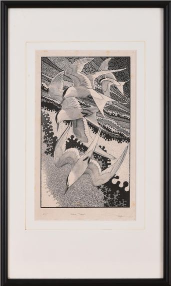 Colin See-Paynton | Colin See-Paynton. Arctic Terns | MutualArt