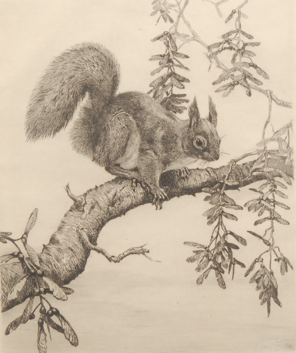 Winifred Austen | Red Squirrel | MutualArt