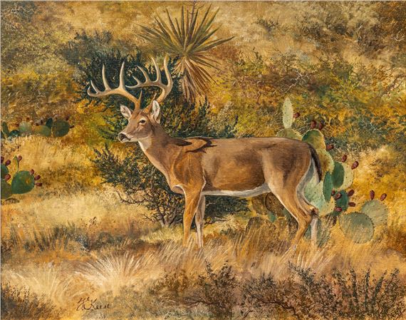 Travis Keese | Whitetail Stag in Cactus | MutualArt