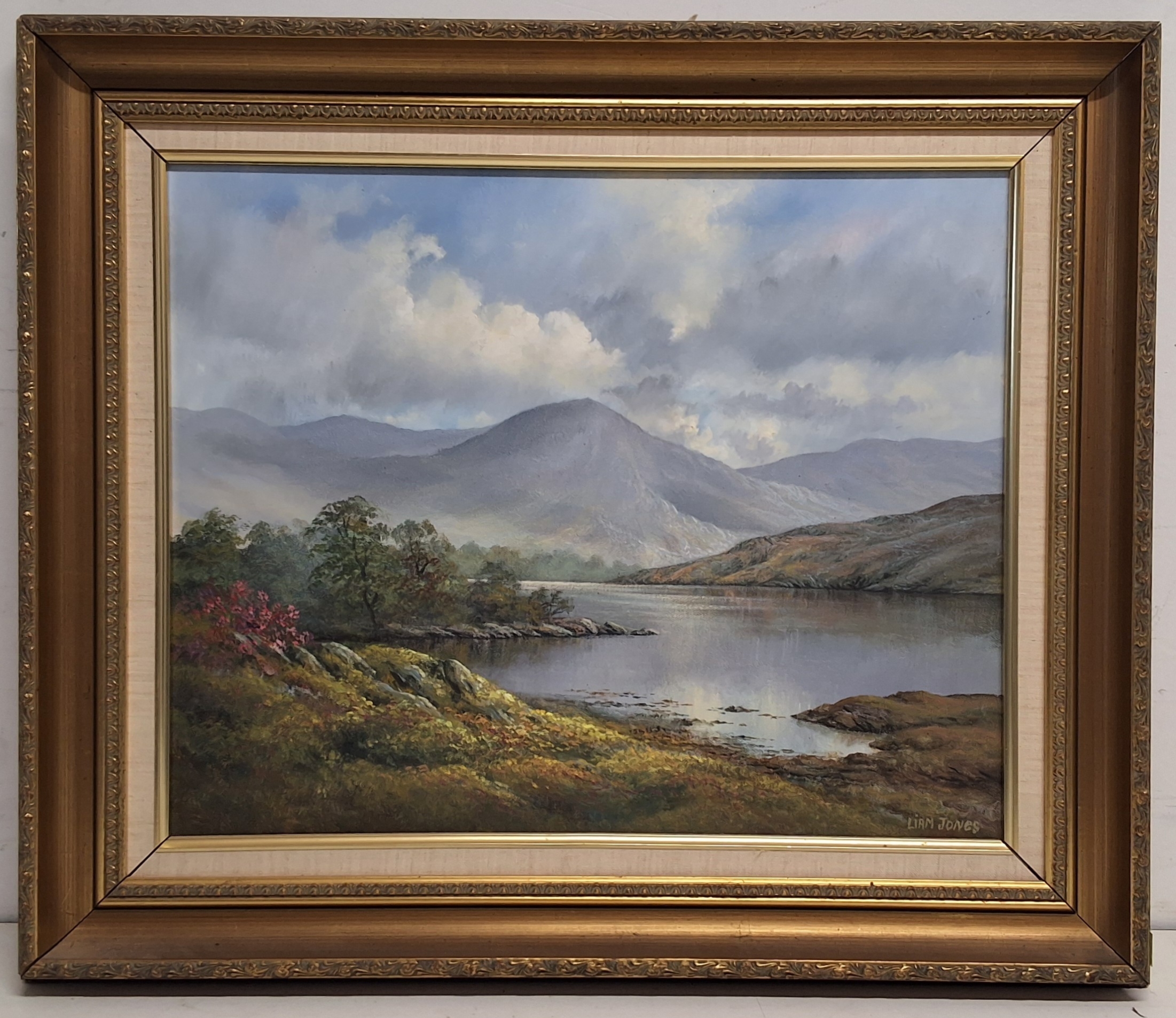 Liam Jones | Irish Landscape | MutualArt