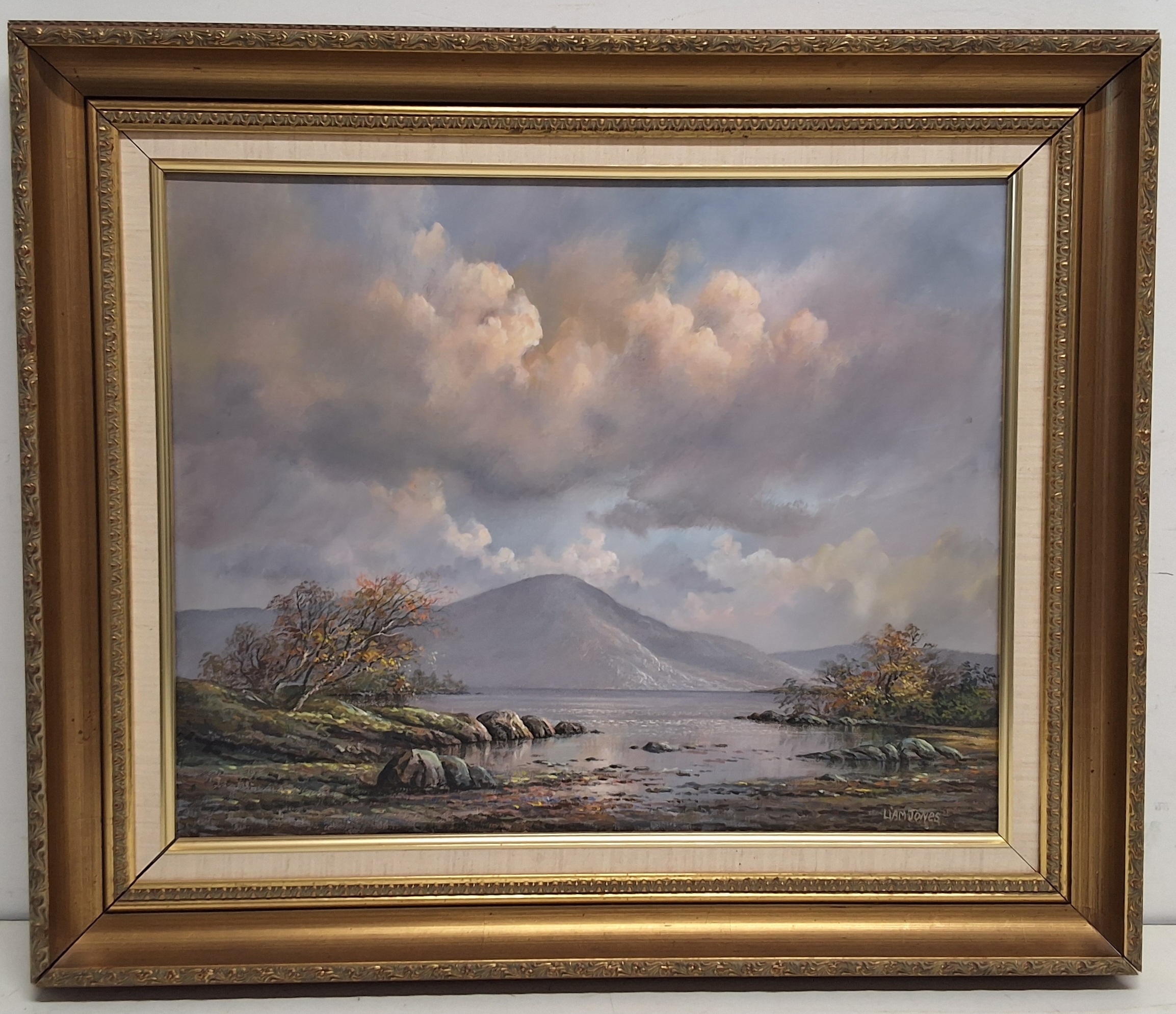 Liam Jones | Irish Landscape | MutualArt