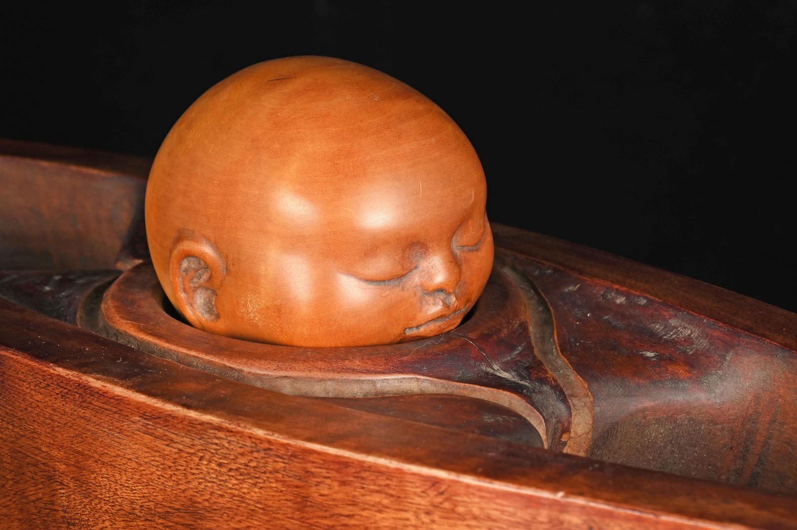 Jonathan Delafield Cook | Seed I (2002) | MutualArt