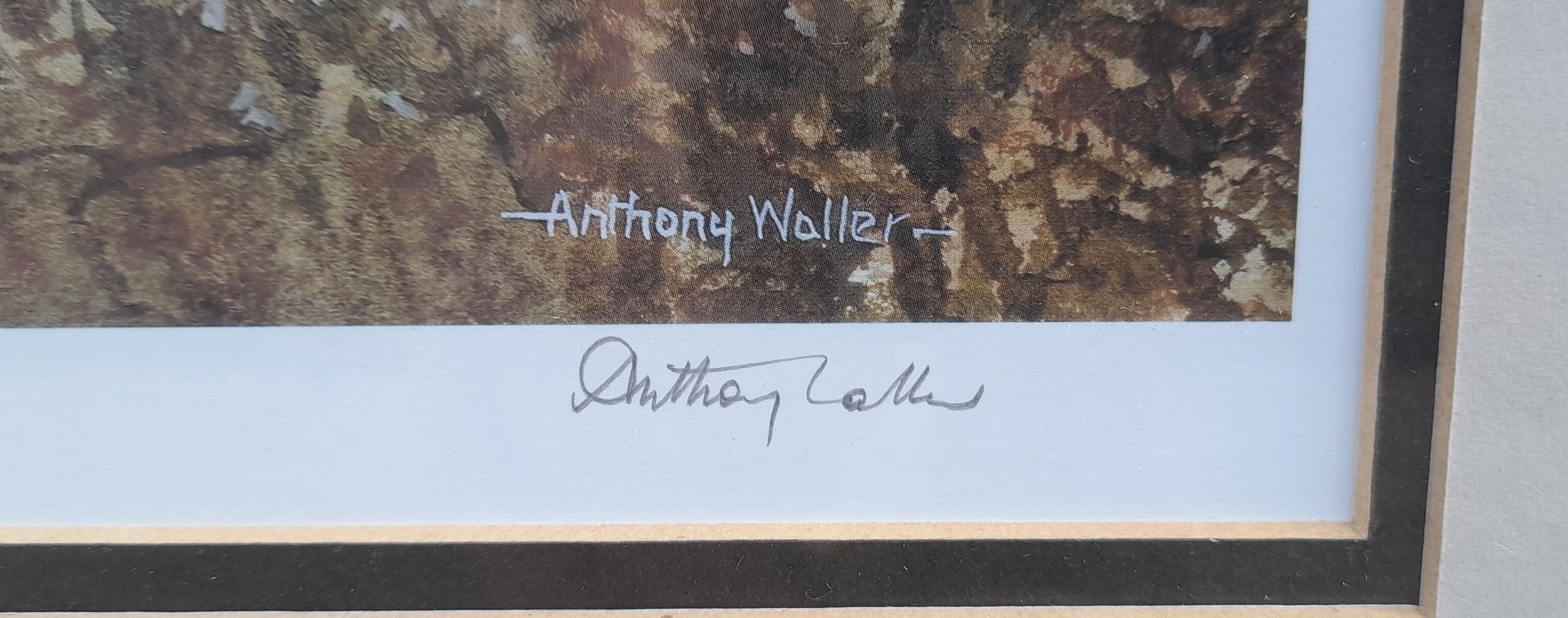 Anthony Waller | LIMITED EDITION LITHOGRAPHIC PRINT BY ANTHONY WALLER ...