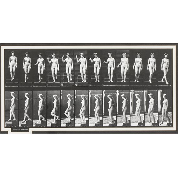 Eadweard Muybridge | Nude Woman Descends Stairs (1887) | MutualArt