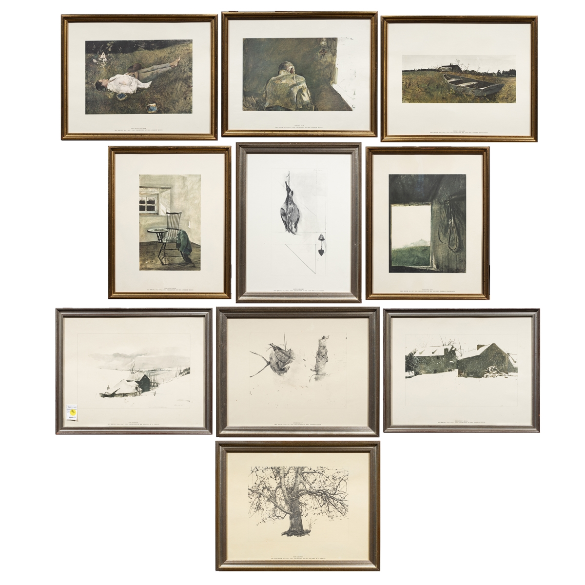 Andrew Wyeth | Raccoon | MutualArt