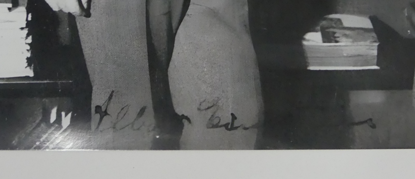 Lester Gunter | Albert Einstein with his son Hans-Albert photo litho ...