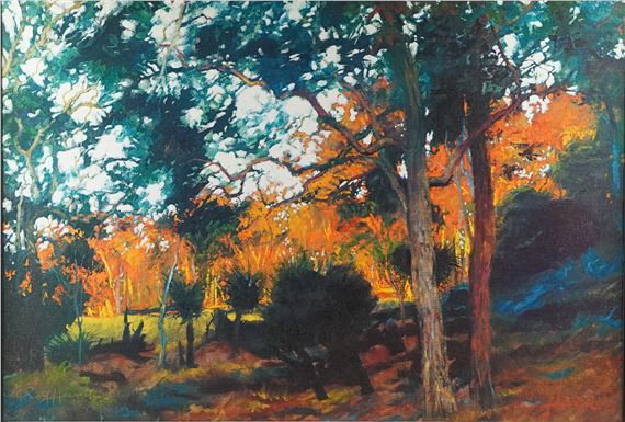 Rolf Harris | Bush Sunset | MutualArt