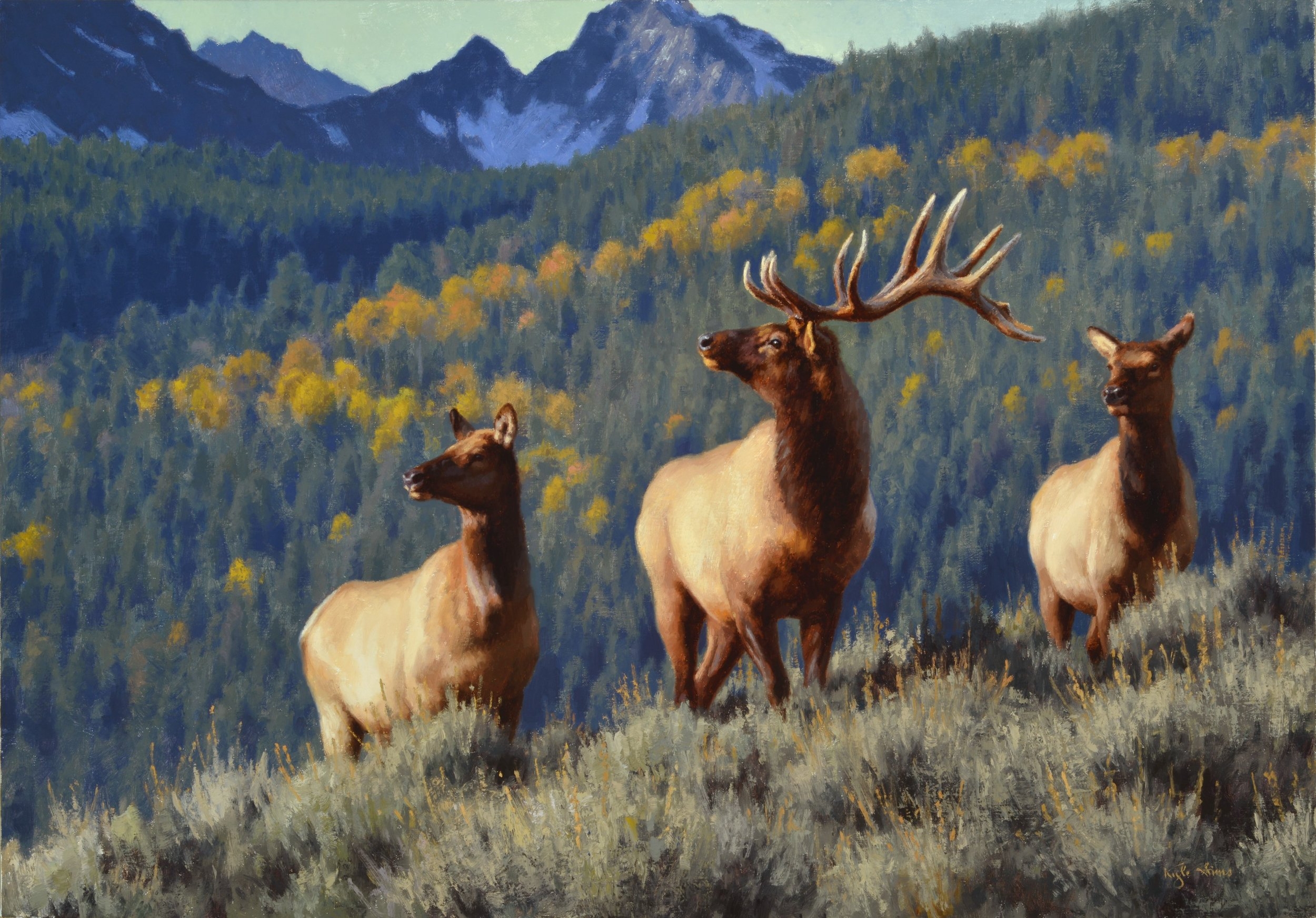 Kyle Sims | Echoes Across the Canyon | MutualArt