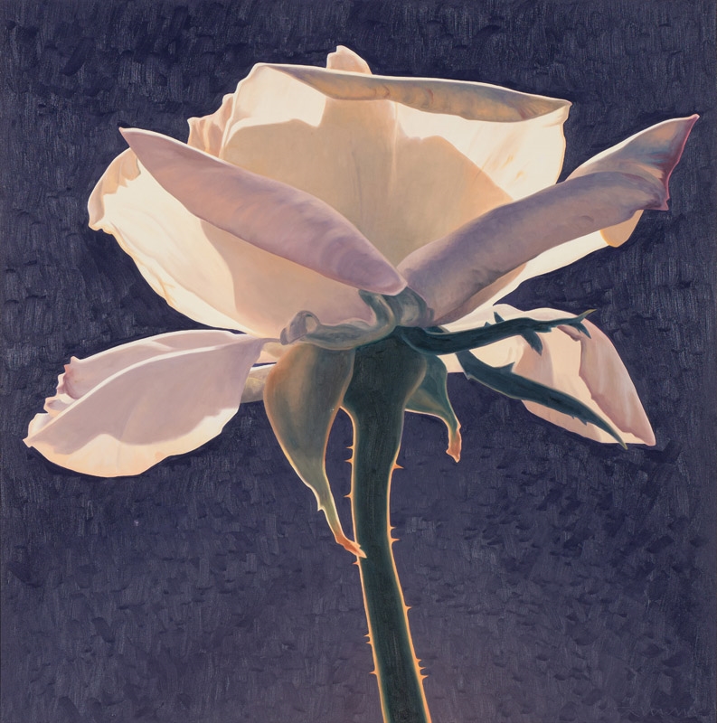 Ed Mell | Southern Arizona Longhorn | MutualArt