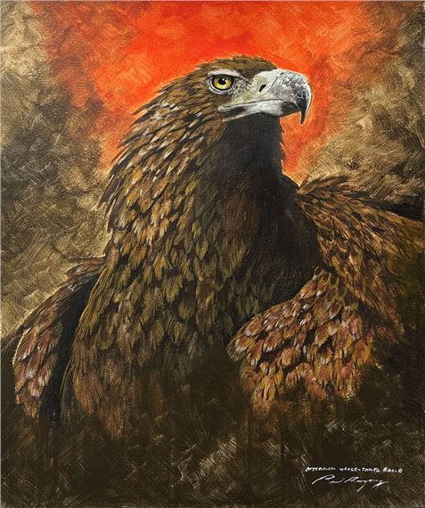 Paul Margocsy | Australian Wedge Tail Eagle | MutualArt