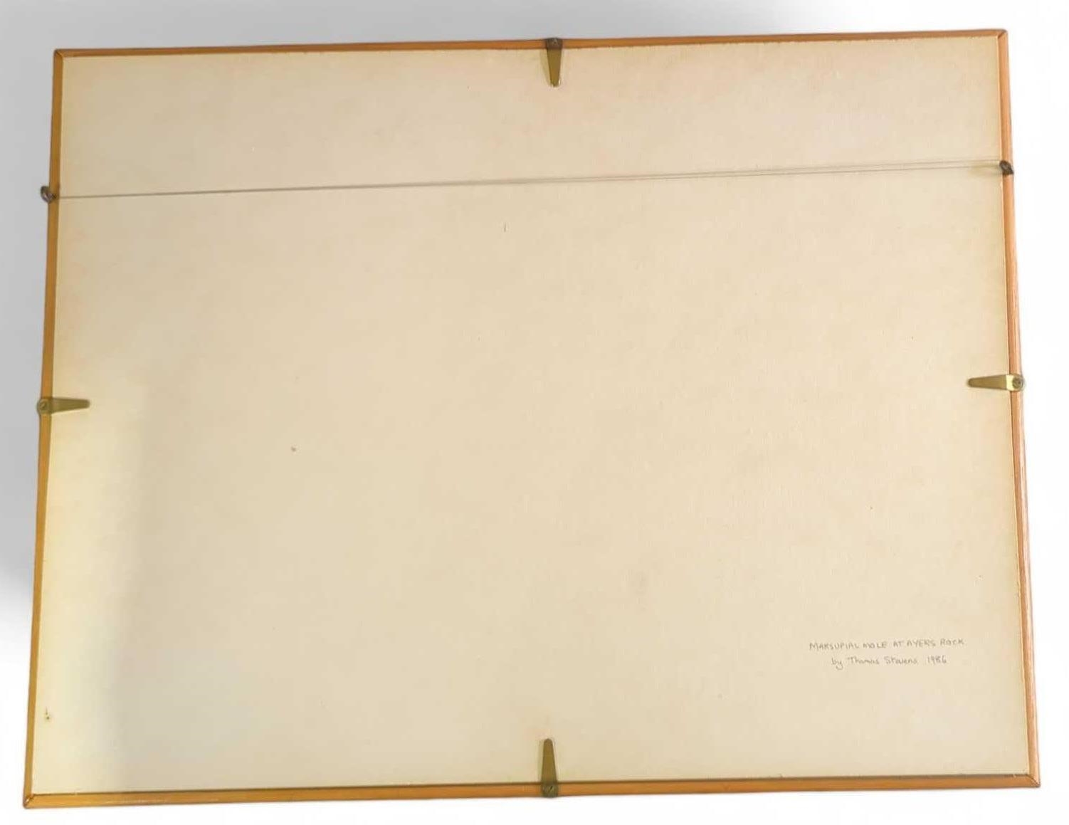 Thomas Stevens | Australian art - Thomas Stevens Marsupial Mole at ...