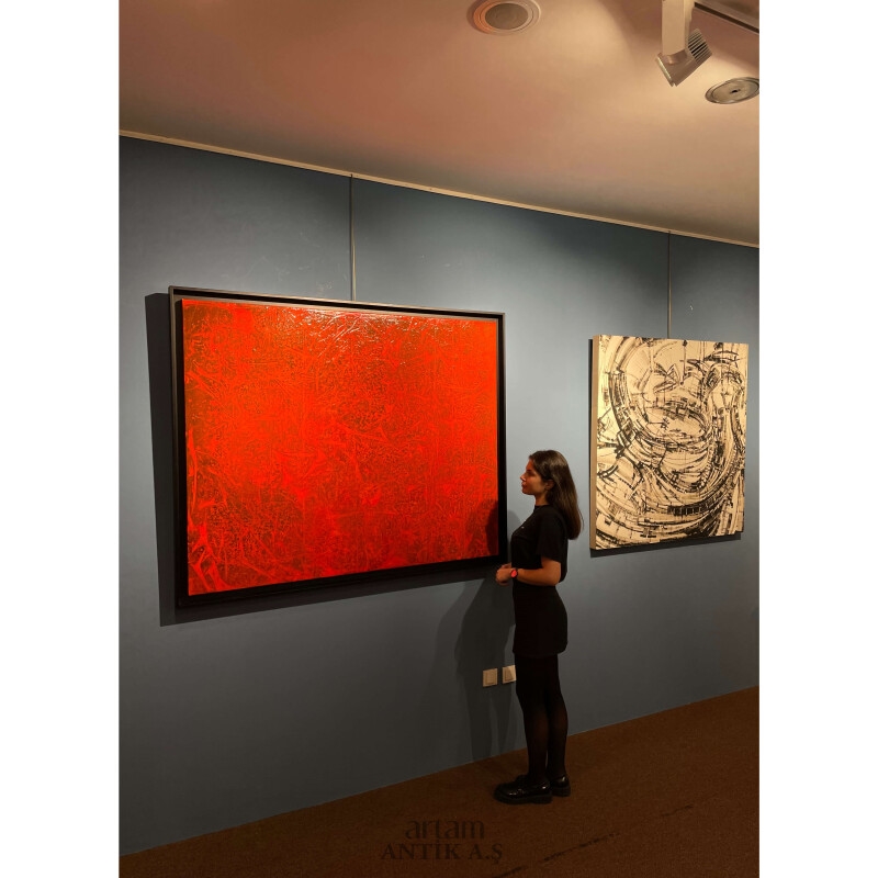 Canan Tolon | Reflex 10 (2011) | MutualArt