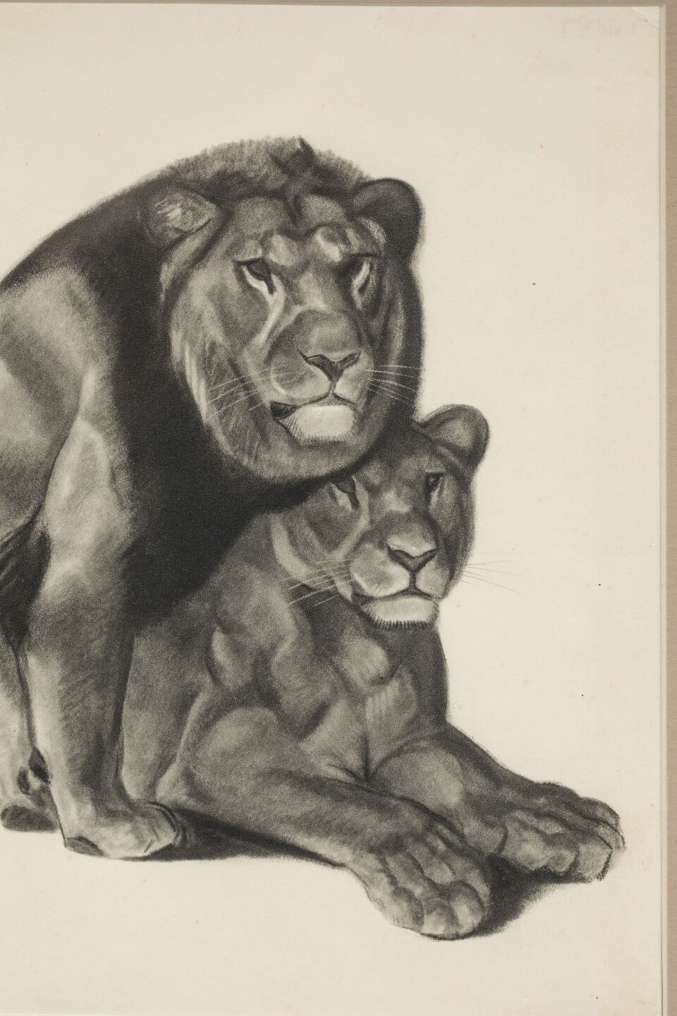 Georges Lucien Guyot | « Lion et lionne » encadrée. | MutualArt