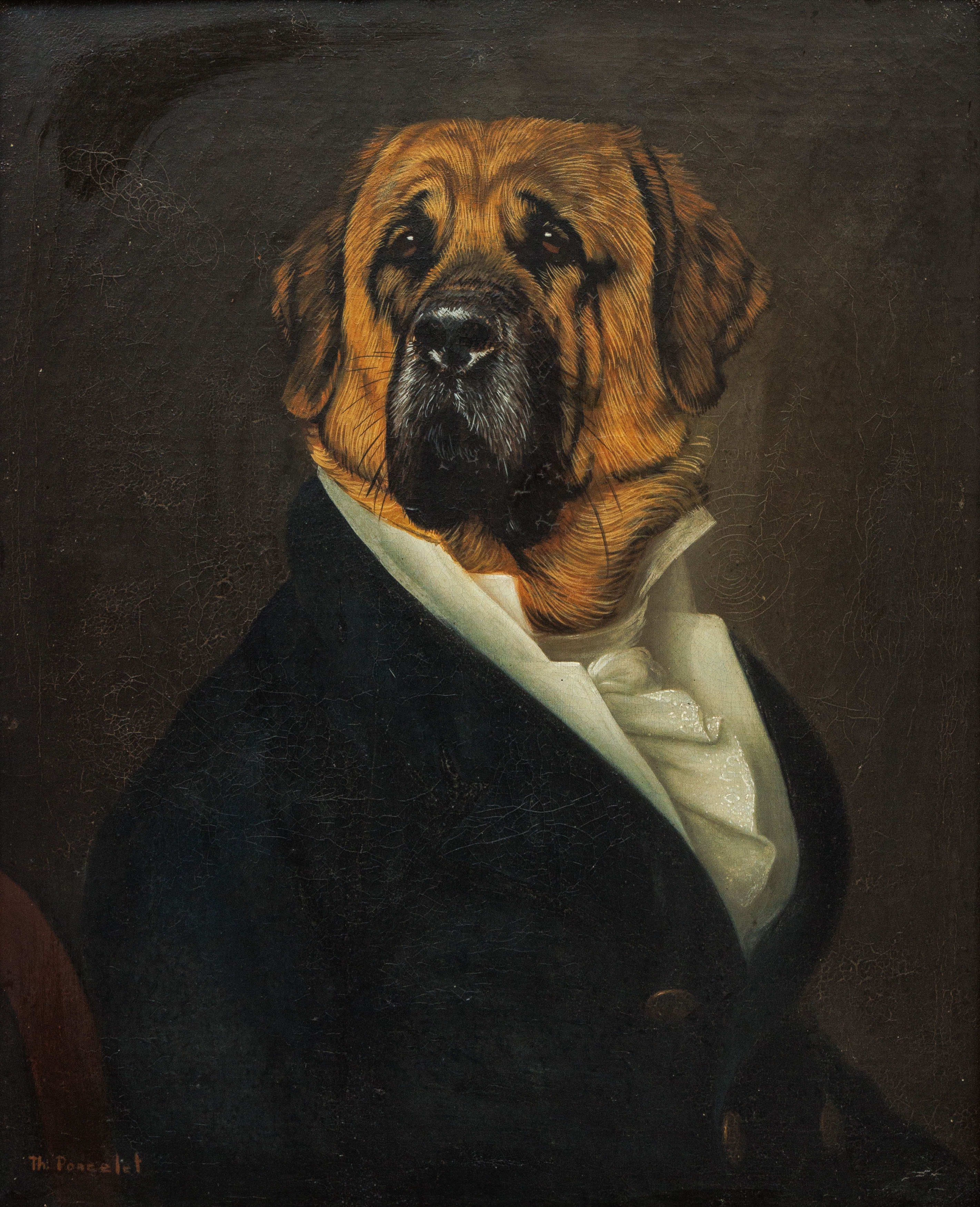 Thierry Poncelet | Portrait of a dog | MutualArt