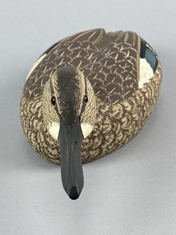 David Simandl | Blue-Winged Teal Hen | MutualArt