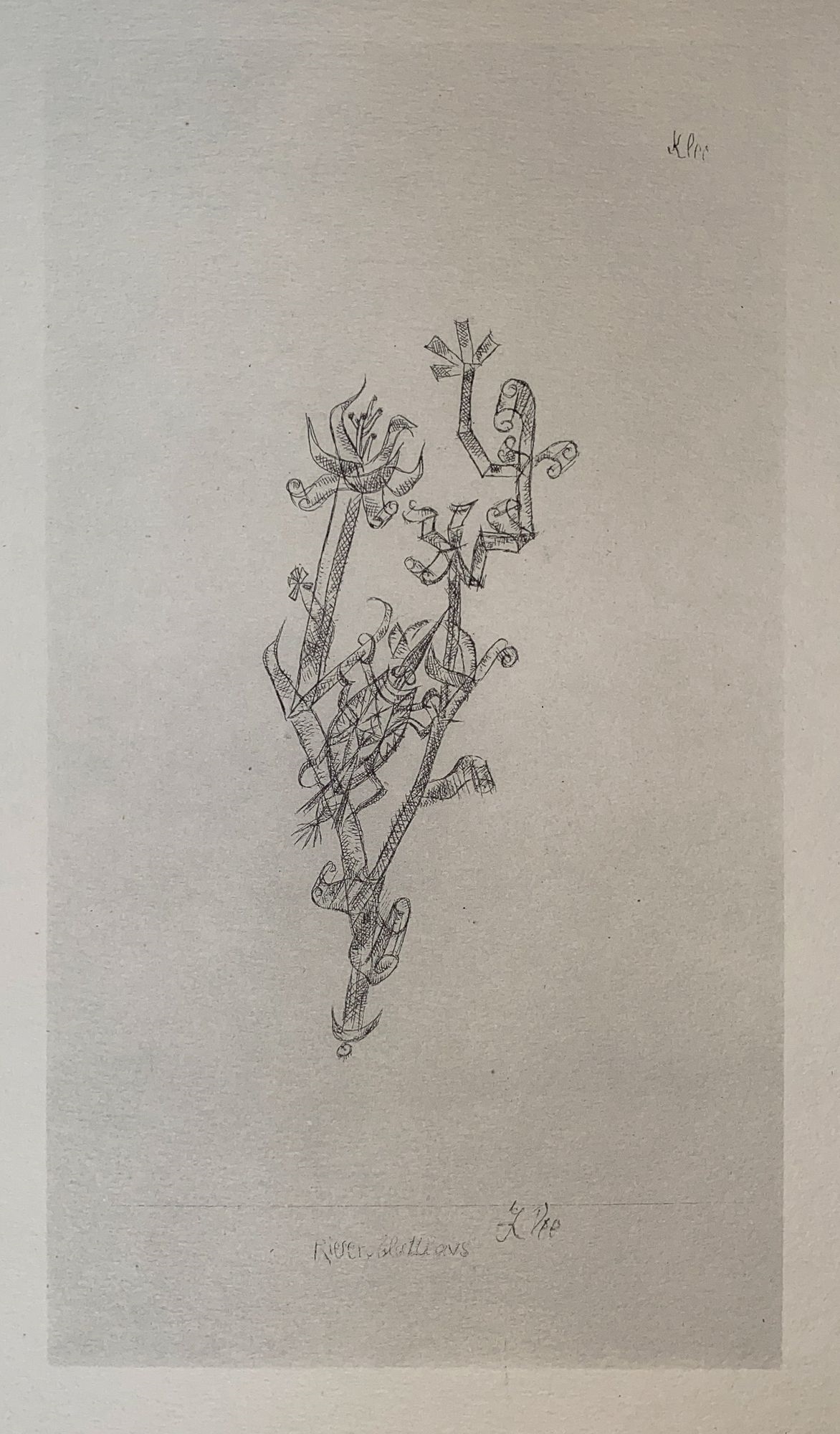 Paul Klee | Paul Klee - Giant Aphis (1947) | MutualArt