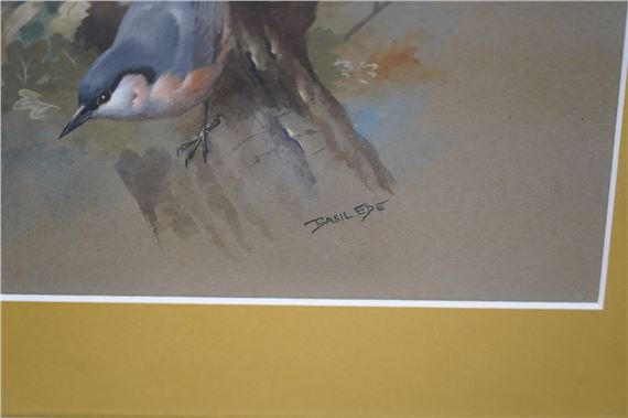 Basil Ede | Study of three finches on a branch | MutualArt