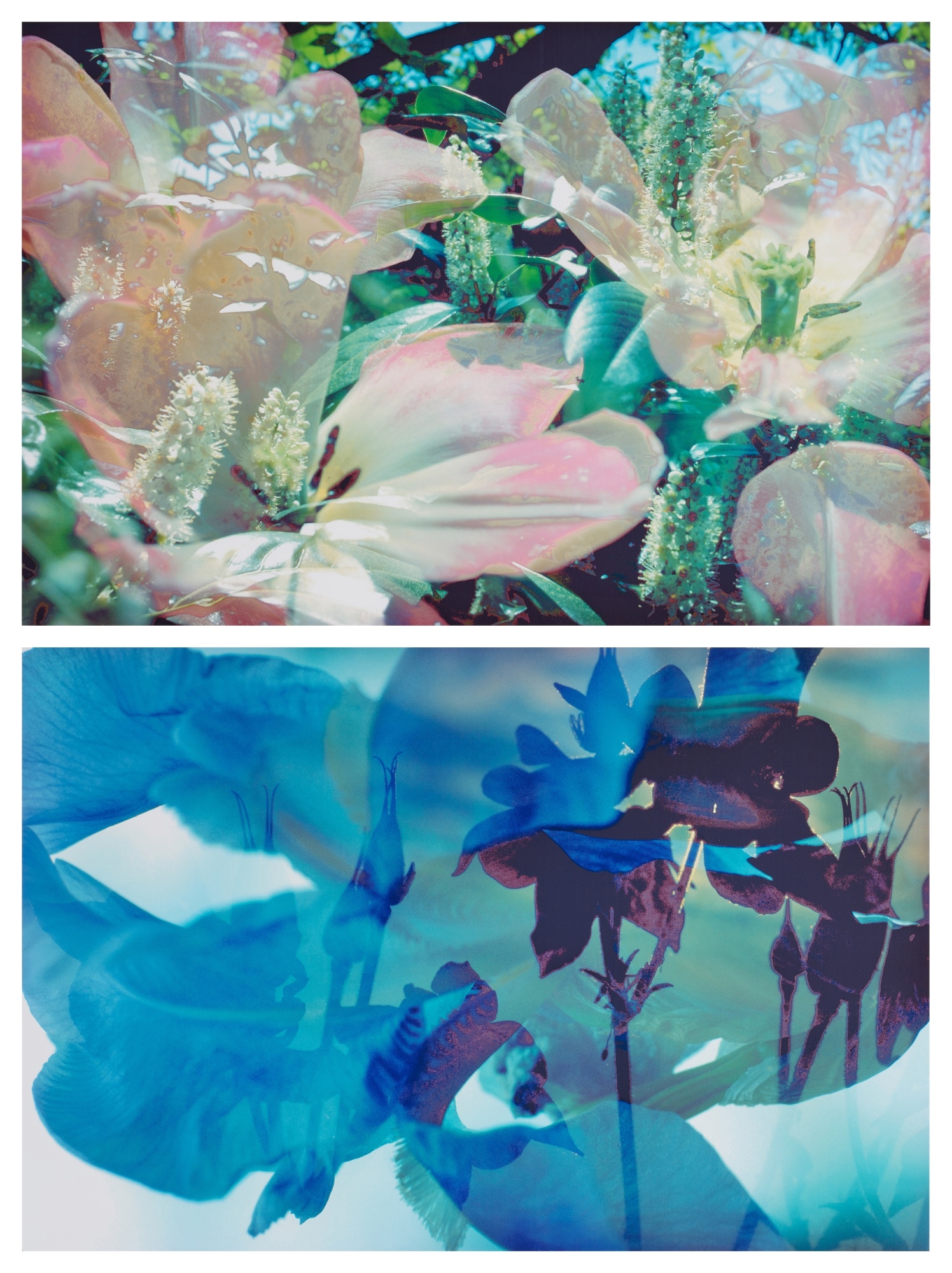 Fischli & Weiss | Natural Grace (Equilibrium Series) (1985) | MutualArt