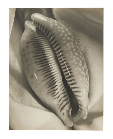 Ruth Bernhard | Classic Torso (1952) | MutualArt
