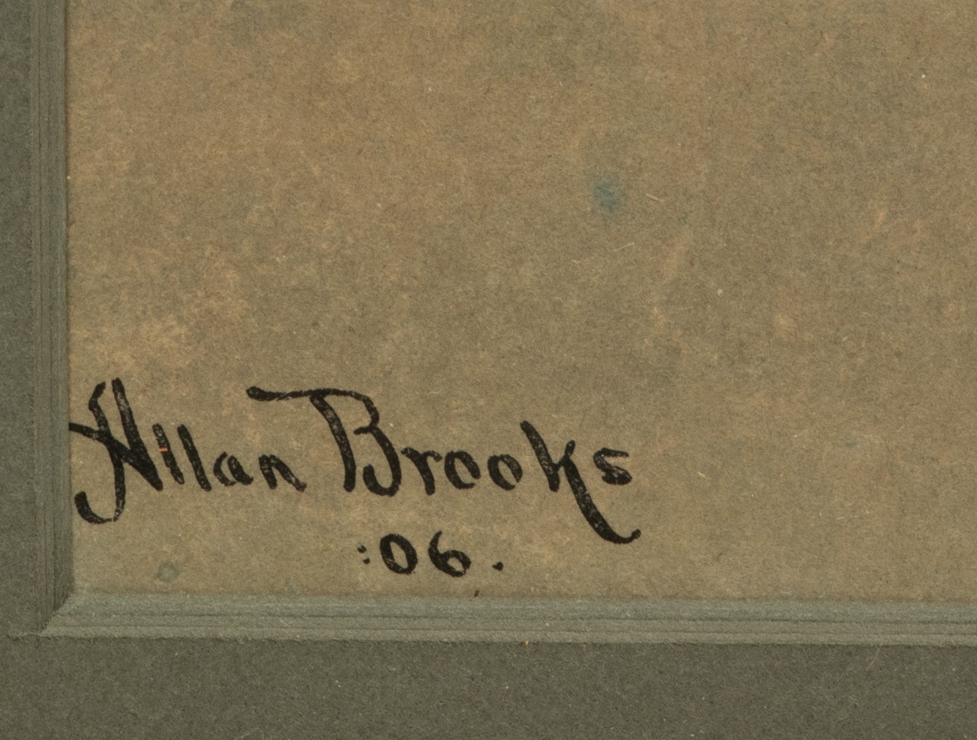 Allan Brooks | Wood Ducks (1906) | MutualArt