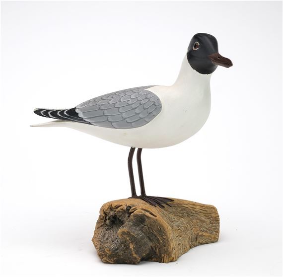 Harry V. Shourds, III | Half sized laughing gull | MutualArt