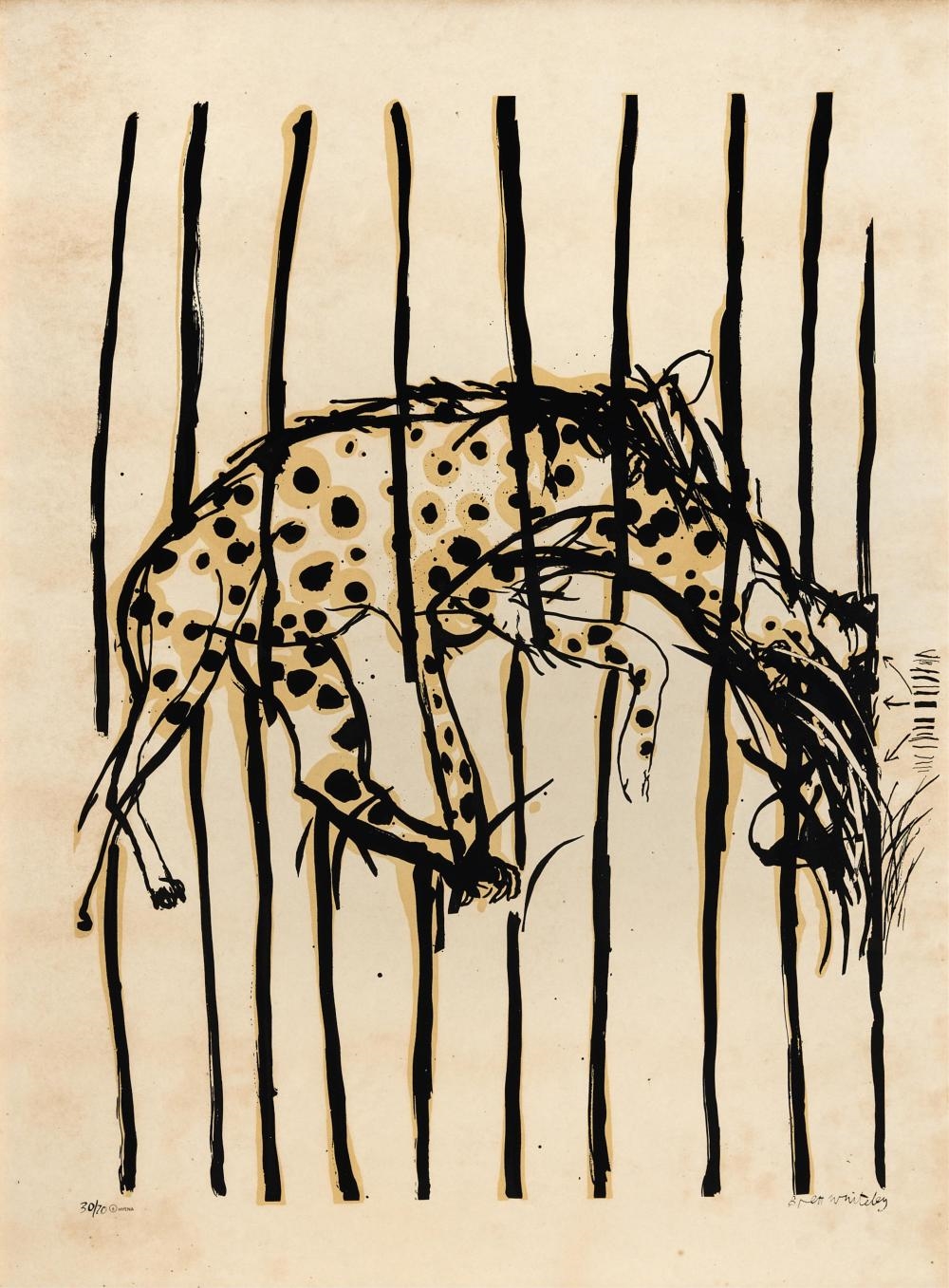 Brett Whiteley | Major Mitchell (1978) | MutualArt