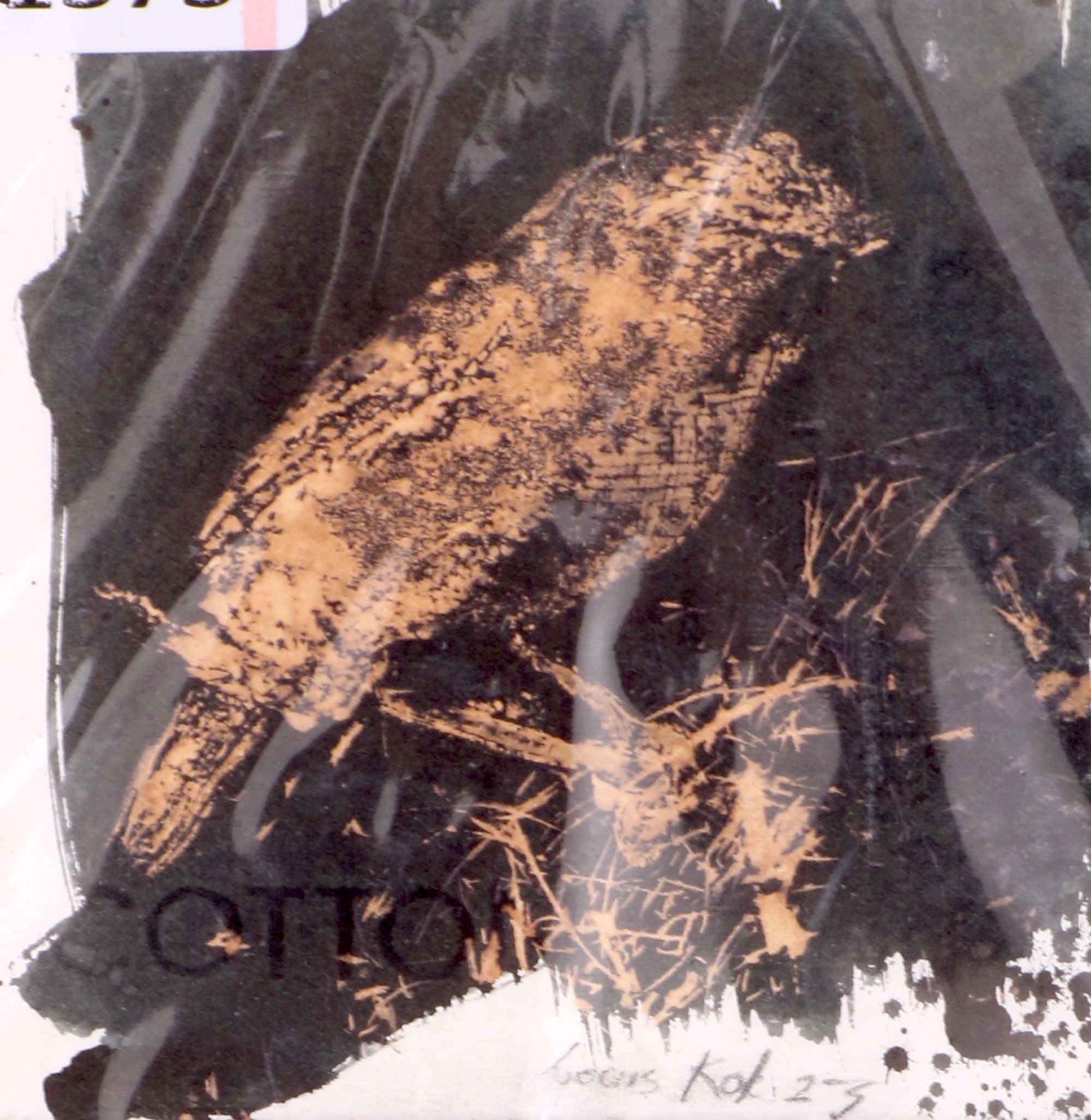 Louis Kok | BIRD (23) | MutualArt