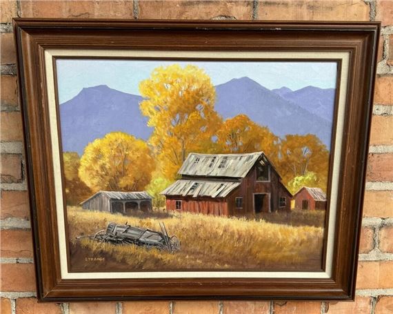 Helen Strange | Biography