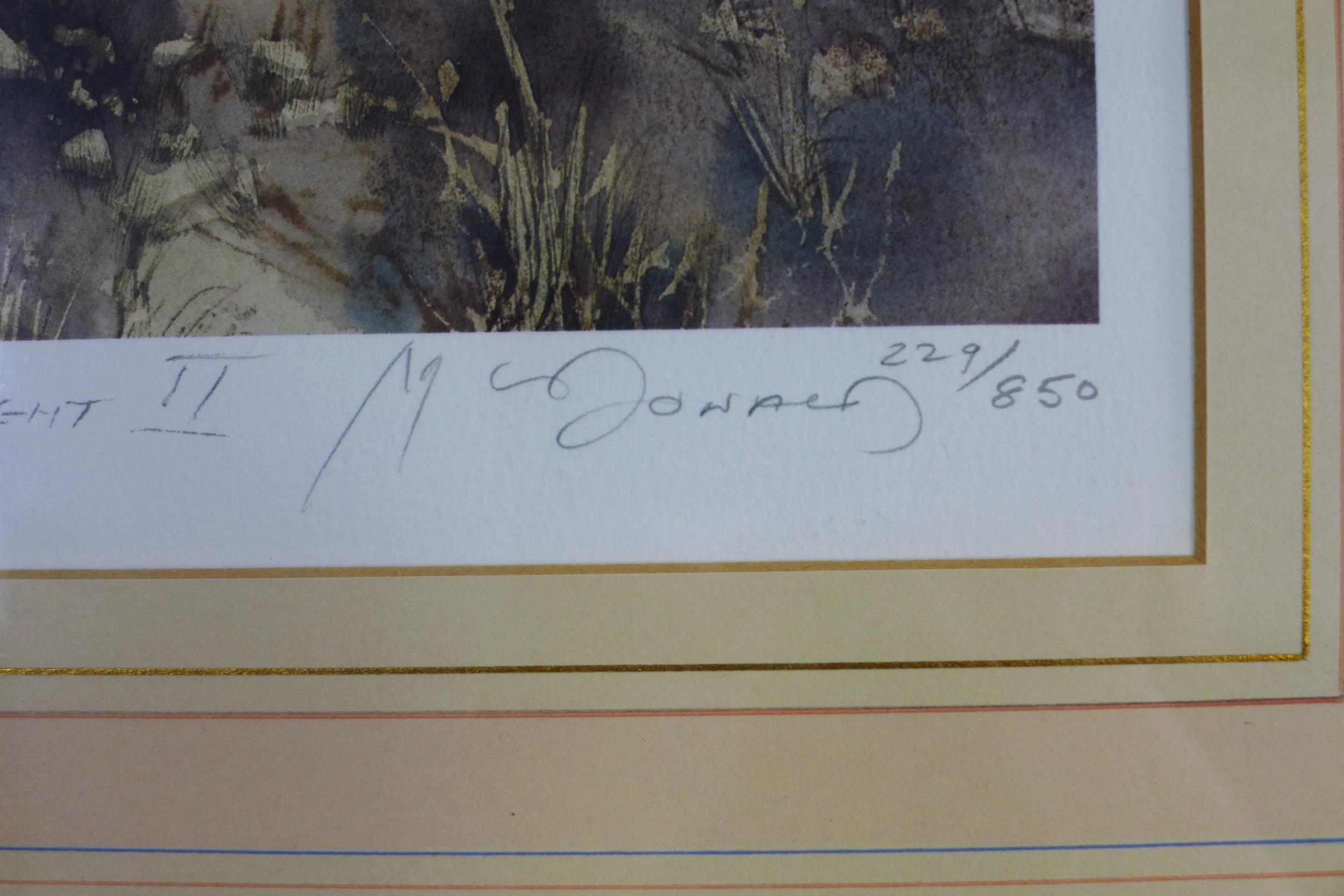 Gillian McDonald | HIGHLAND LIGHT II | MutualArt