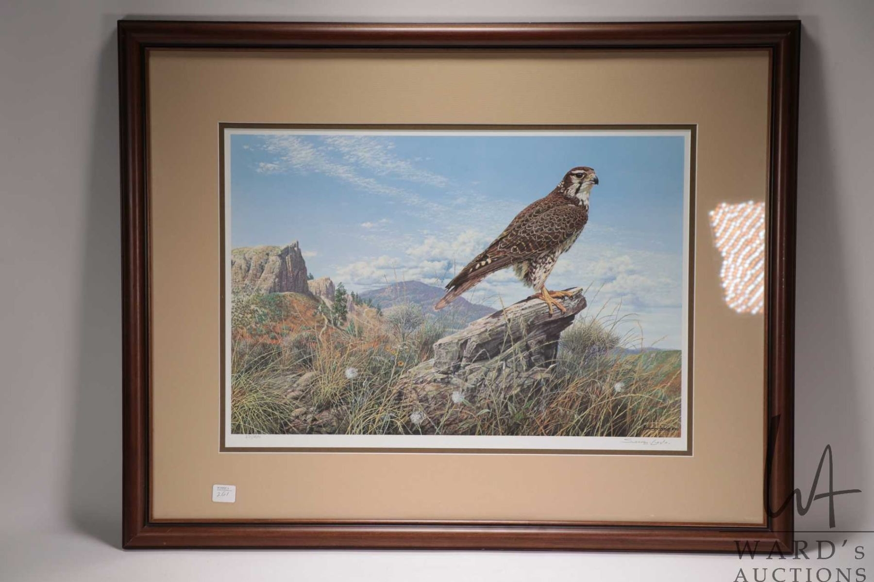 John Seerey-Lester | Plains Hunter- Prairie Falcon | MutualArt