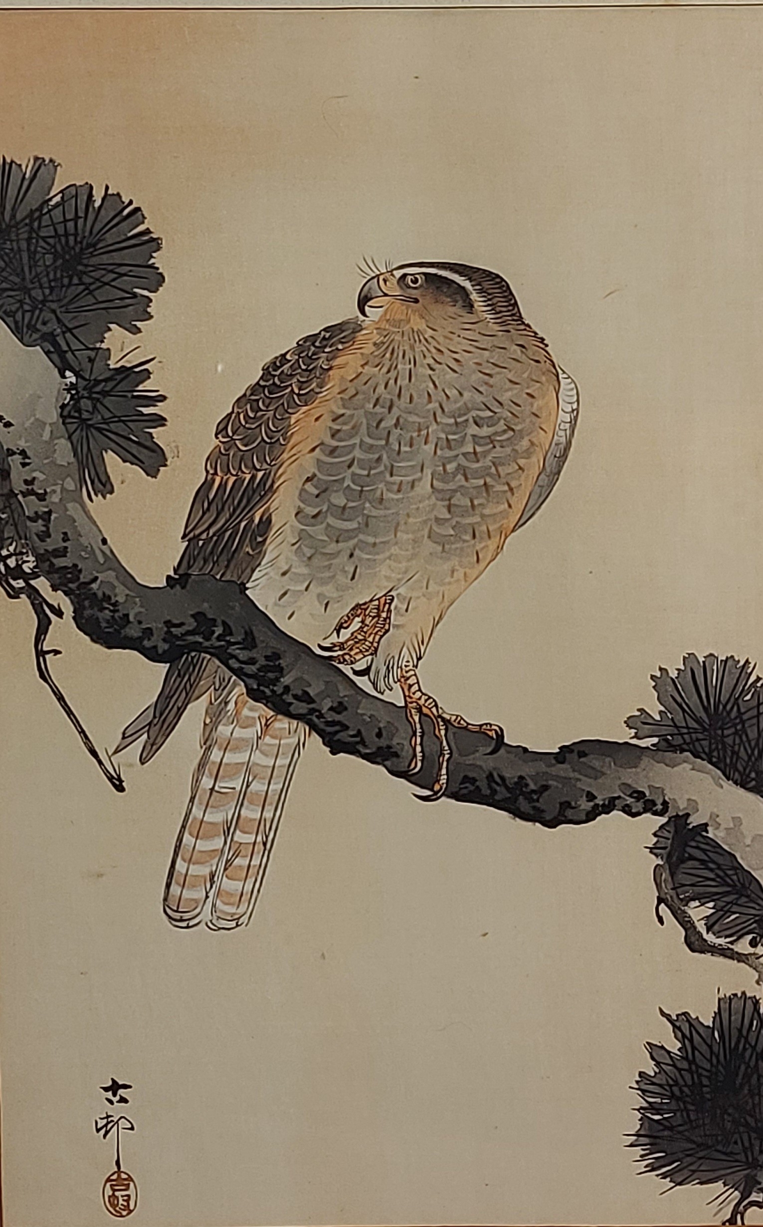 Ohara Koson | Goshawk on a branch | MutualArt
