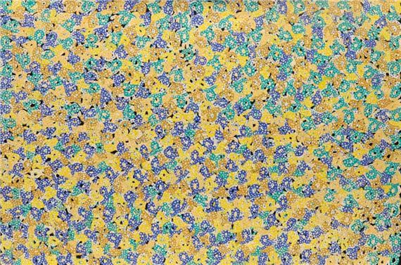 Robertson | FELICITY ROBERTSON NAMPITJINPA (2023) | MutualArt