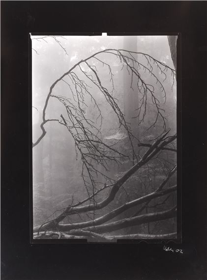 Petr Helbich | Mionší, 2002 (2002) | MutualArt