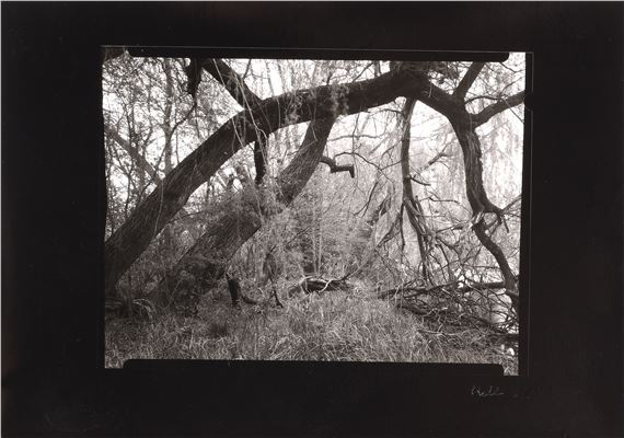 Petr Helbich | Mokřad, 2016 (2016) | MutualArt