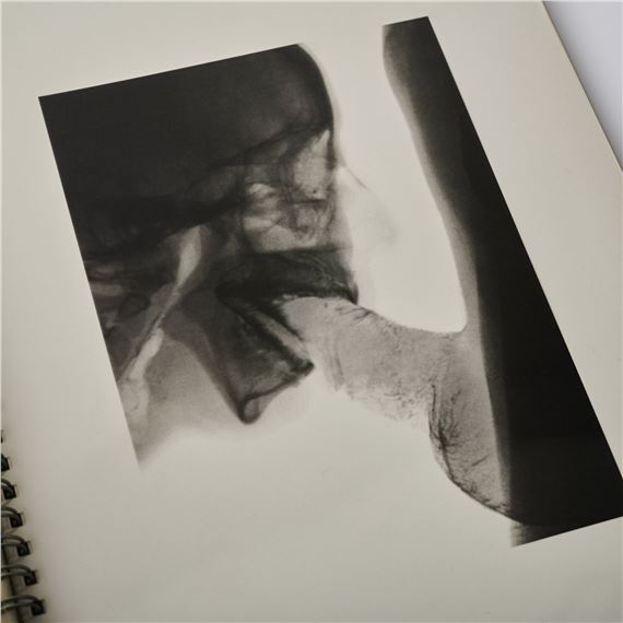 Wim Delvoye | SeXray (2002) | MutualArt