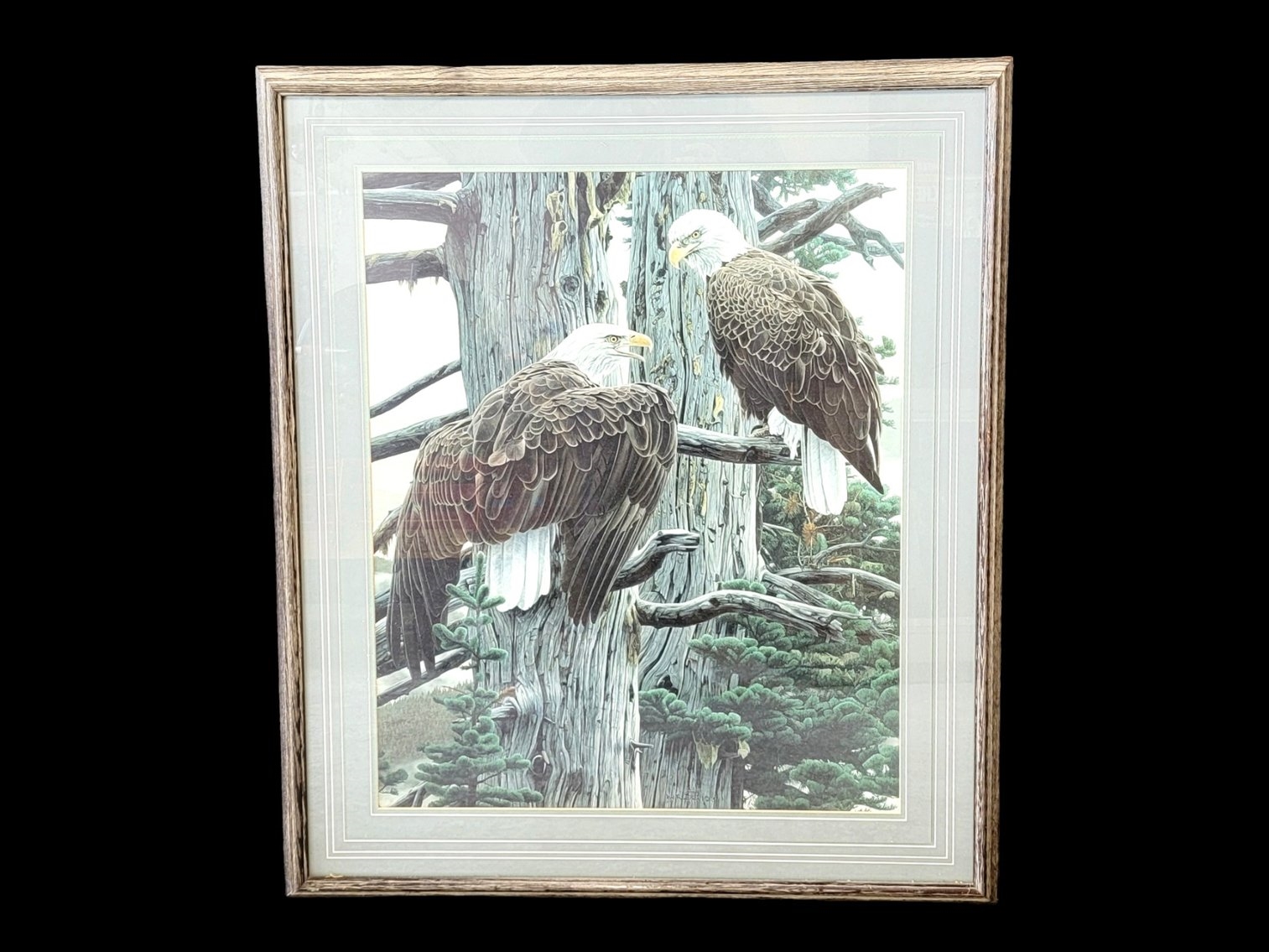 Rod Frederick | The Nesting Call | MutualArt