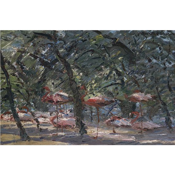 Franz Marx | Flamingos in shallow water in the undergrowth (1889 ...