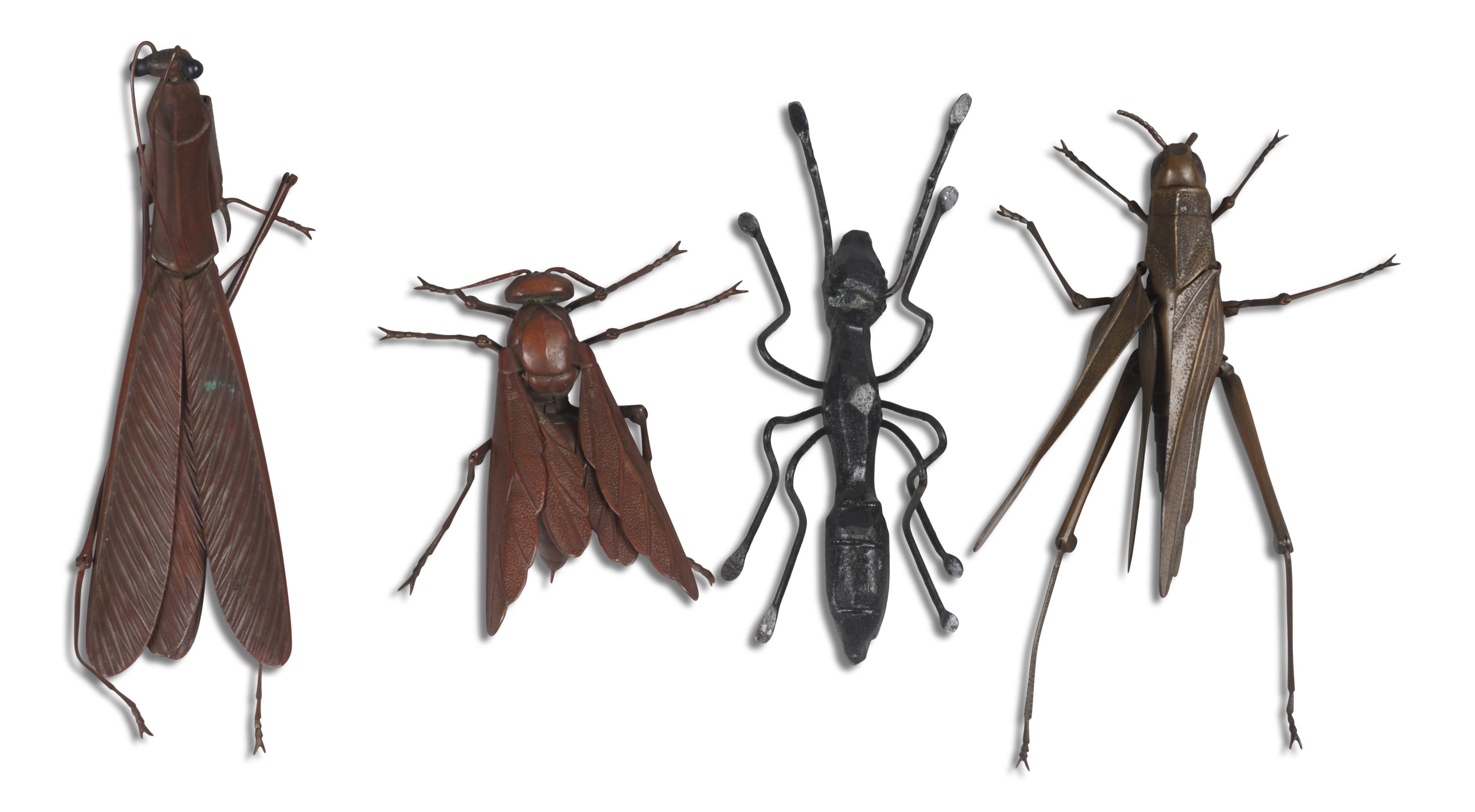 Japanese School | INSECTS | MutualArt